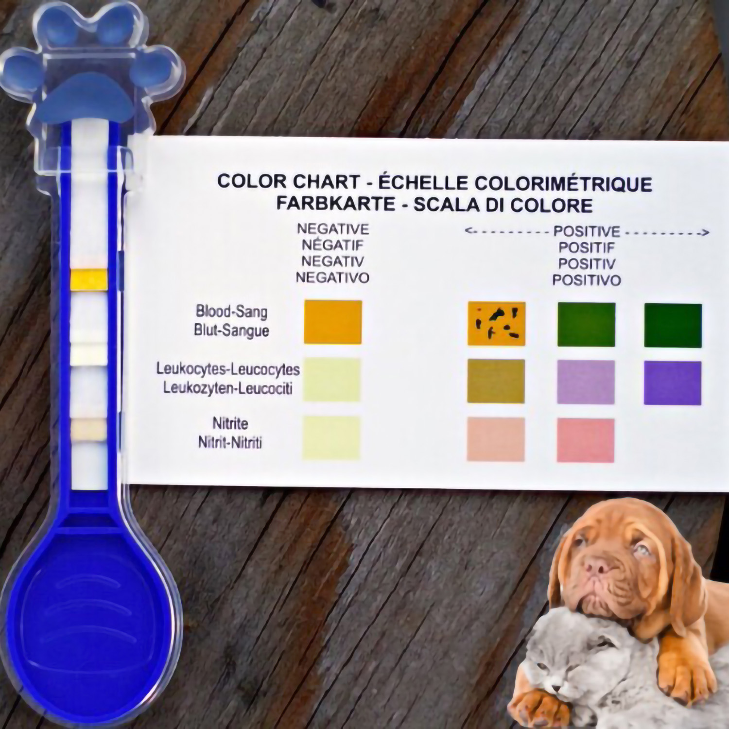 ITL BioMedical: PawCheck® Urinary Tract Infection Kit