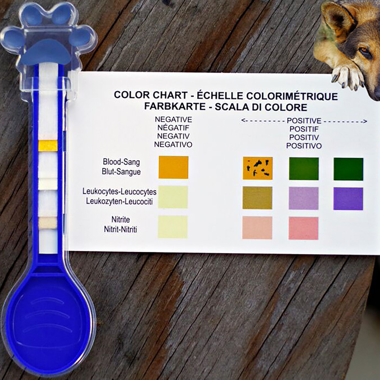 PawCheck® UTI Test Kit for Dogs with Reusable P-Scoop® Urine Collector ...